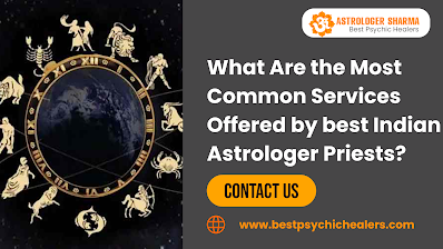 What Are the Most Common Services Offered by best Indian Astrologer ...