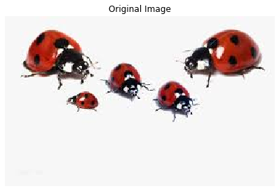 Image Processing Tutorial Using scikit-image — Connected Component Analysis | by Betul Mescioglu ...