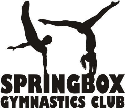 Henley and Co…Springbox Gymnastics 🌟 | by HenleyHub | Medium