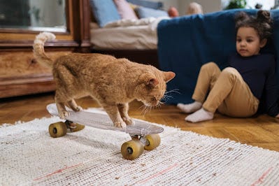 Fun Facts About Cats. Fun Facts About Cats; I think you are… | by Humna ...