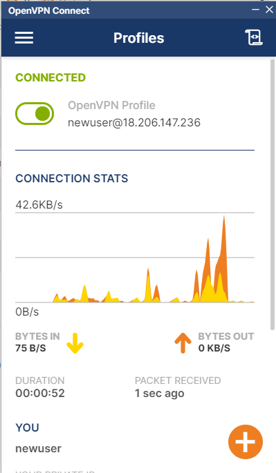 Configura tu propia VPN con AWS y OpenVPN (Access Server) | by Bianca ...