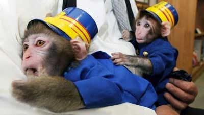 All Aboard The Monkey Train. Once upon a time there was a train that ...