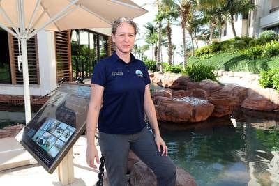 The Turtle Whisperer: Barbara Lang-Lenton’s Mission to Heal and Protect ...