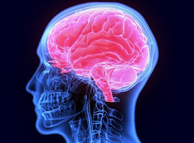 The Power of Neurons, the Brain, and Embryonic Stem Cells | by ...