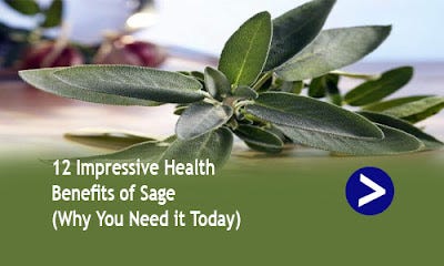 Sage is a fragrant restorative herb that has been utilized for a huge ...