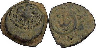 Ancient Coins of Biblical Jerusalem Collecting Guide | by Nell ...