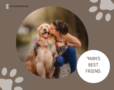 “The Hidden Wonders of Dogs Revealed” - Nayabmajeed - Medium