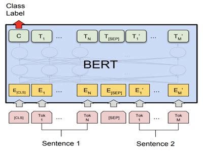 BERT (Bi-directional Encoder Representations for Transformers ...