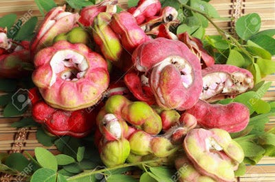 Health Benefits of Manila Tamarind | by Vivek Davda | Medium