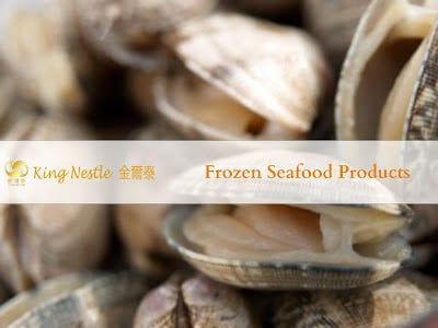 What are mollusks and how to freeze them well? | by Frozenseafood China ...