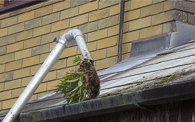 The Importance of Dishley Gutter Cleaning | by Asfordby Valley ...