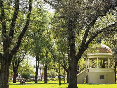 Do urban trees remove air pollution and save precious lives? | by ...