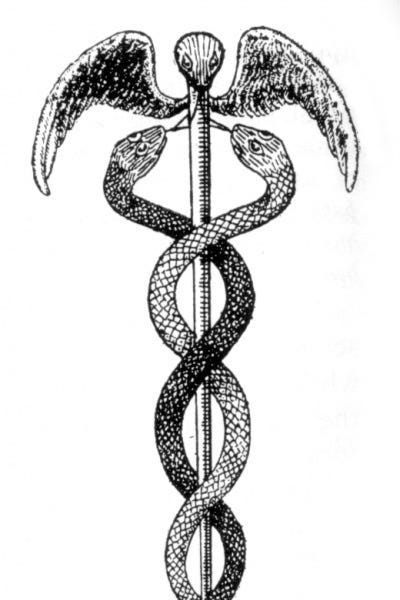 The Sacred Psyche. Jung, the Shadow, and Soulcraft | by John Delgado ...