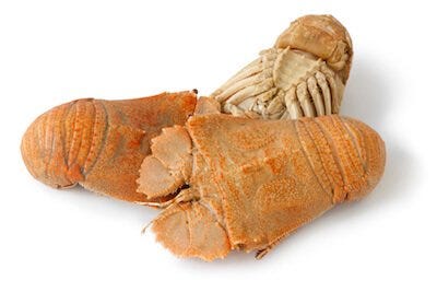 Australian Seafood Bugs