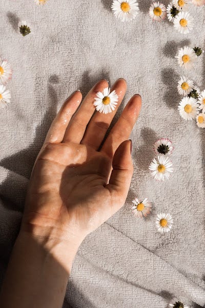 Mornings by Window Side. Crawling under the 2 feet’ thick… | by Fiona ...