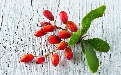 Blue Tonic Unleashed: A Sumatran Guide to Revolutionary Slimming | by ...