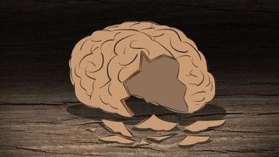 Broken Brain