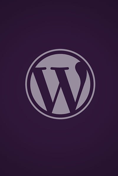Experience Innovation: Cutting-Edge WordPress Development Services in Lahore Revealed | by ...