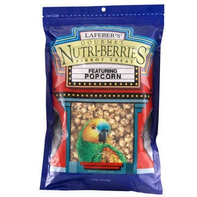 Bird TreatsBest Bird Treats. Welcome bird enthusiasts! | by Ann Moore ...