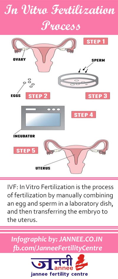 In Vitro Fertilization Process by Jannee Fertility Centre Chandigarh ...