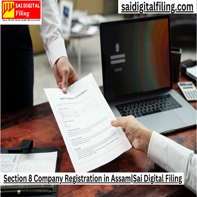 Simplify Section 8 Company Registration in Assam with Sai Digital ...