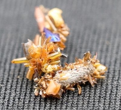 Carnivorous caterpillar wears the corpses of its prey | by Cassie ...