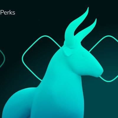 BullPerks Team - Godwin Archibong - Medium