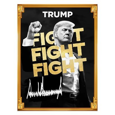 Trump Meme Coin Hits $20 Billion FDV Milestone | by Daniel Ukpai | Jan ...