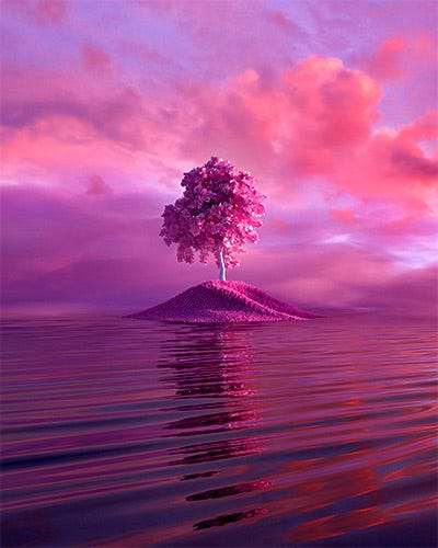 Animation company in New York, animation studio Today, animated videos ...