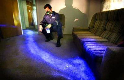 How to get away with murder: leaving behind no traces of blood. | by ...