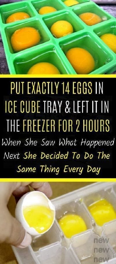 She Put Exactly 14 Eggs In Ice Cube Tray Left It In The Freezer For 2 ...