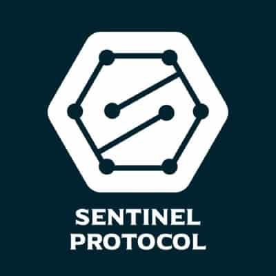 Sentinel Protocol: The Pre-Sentinels | by Vitalii Korolev | Medium