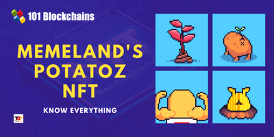 Memeland’s Potatoz NFT: What Is It? | by Techdigipro | Medium