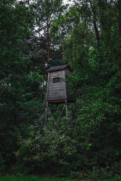 Forts. I built forts as a child (it’s a grand… | by Michael Nanfito ...