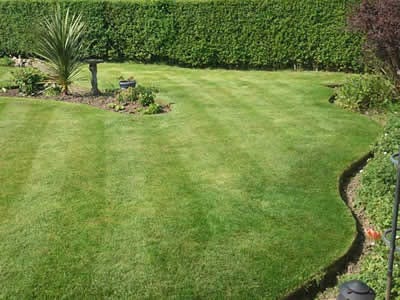 Get the Perfect Landscaping Chester Service Only at Absolute Tree Care ...