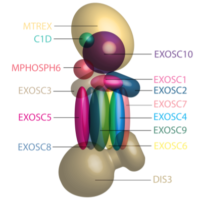 Mass photometry: an innovative technology to measure the masses of ...