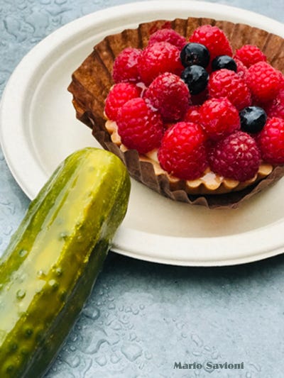 “Pickles and Tarts” — Chapter 7. Chapter 7 | by Mario Savioni | Medium