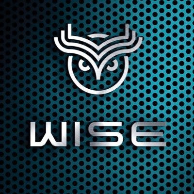 Why You Should Invest in WISE Tokens | by Fito Kahn ...