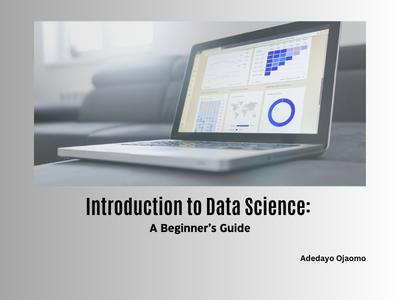 Introduction to Data Science: A Beginner’s Guide | by Adedayo Ojaomo ...