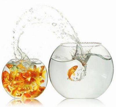 Elevation Requires Separation. Life is full of distractions. Being ...