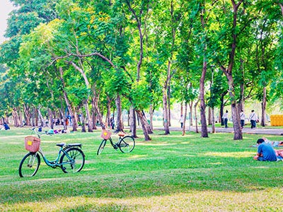 PARKS:. • Definition: | by Info Xpert | Nov, 2024 | Medium