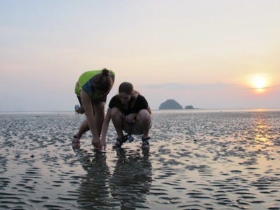 Species Blindness- Learning to truly ‘see’ Nature | by kenny peavy | Medium