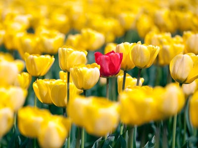 How to Identify and Remove Outliers: A Step-by-Step Tutorial with Python | by Prateek chauhan ...