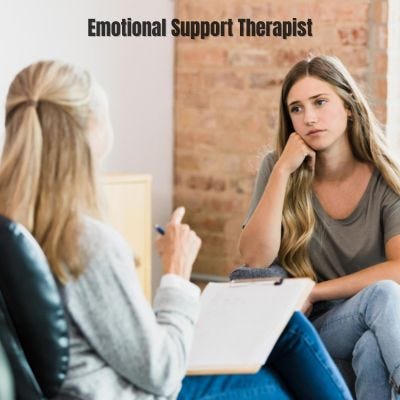 Role of an Emotional Support Therapist in Helping Teenagers Navigate ...