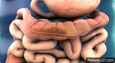 Struggling to Have a Healthy Poop? Here’s What You Need to Know | by ...