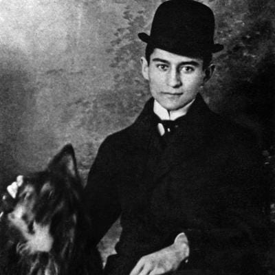 Maybe Kafka Had It Right. A note to the gentle reader. This is a… | by ...