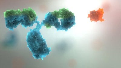 Optimization of Single B Cell Isolation Techniques at KMD Bioscience ...