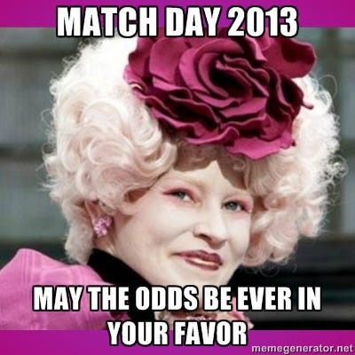 Hunger Games Meme May The Odds
