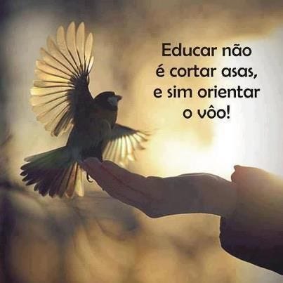 Por que Exigimos Tanto de Nossas Crianças | by Kaolin Vesterka | Medium