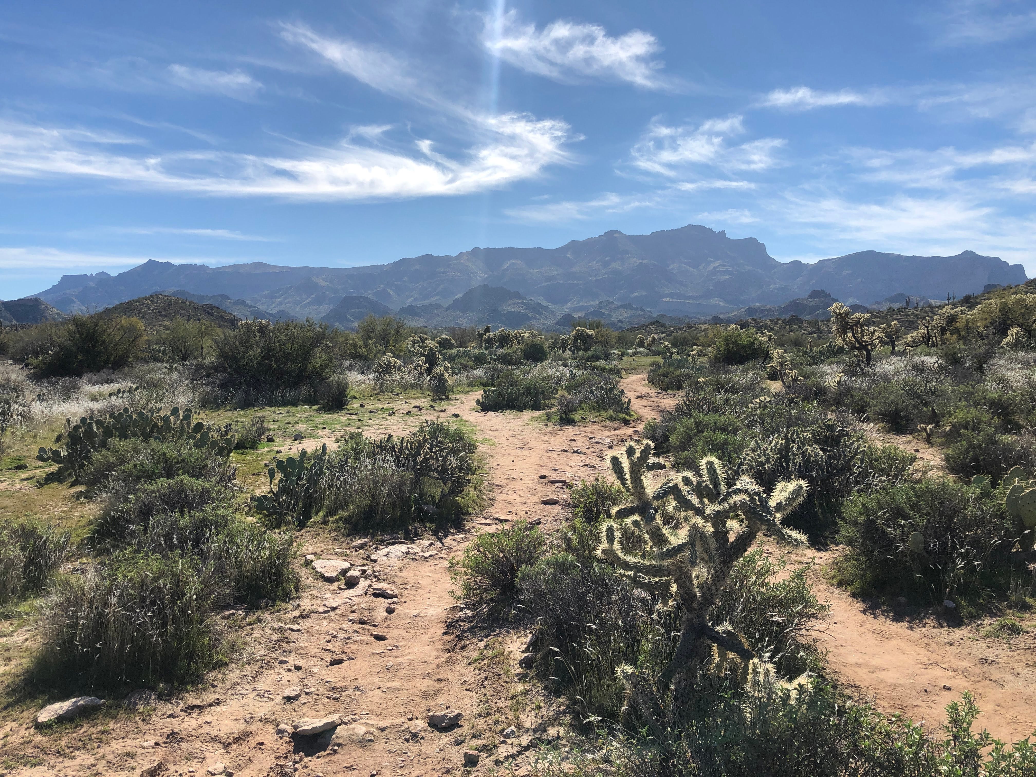 Lost Mesa Loop in Superstition Wilderness | 9 to 5 Hiker